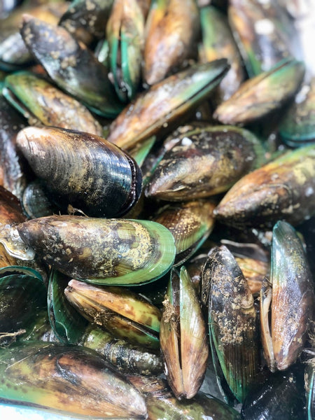 NZ Mussels – Seafood and More
