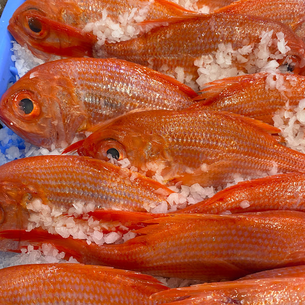 Redfish – Seafood and More