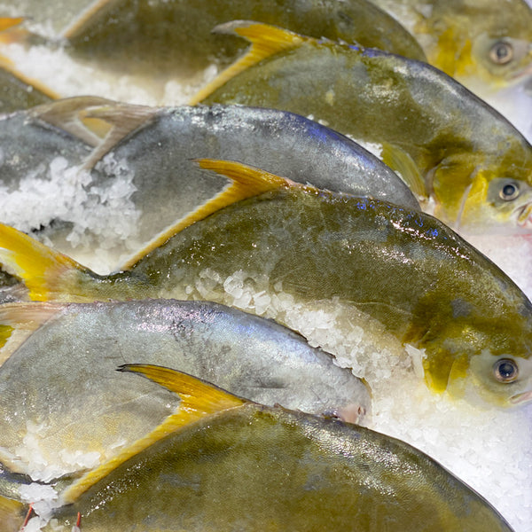 Pompret – Seafood and More