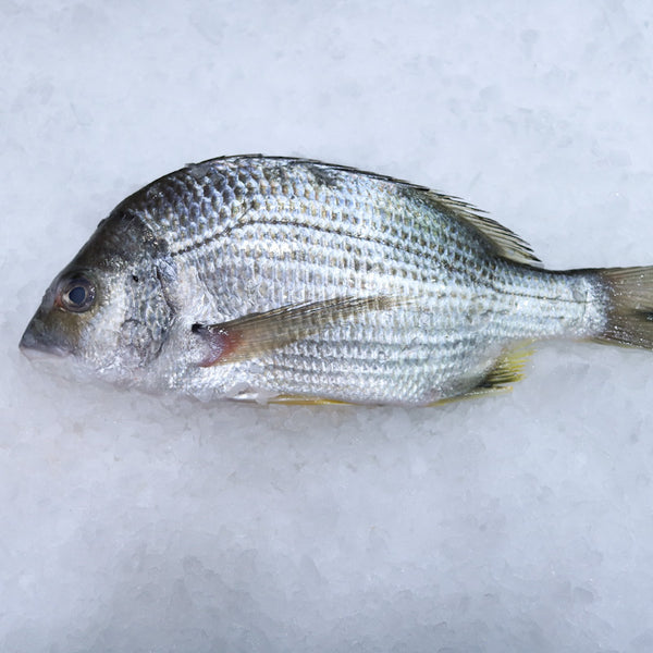 Silver Bream – Seafood and More