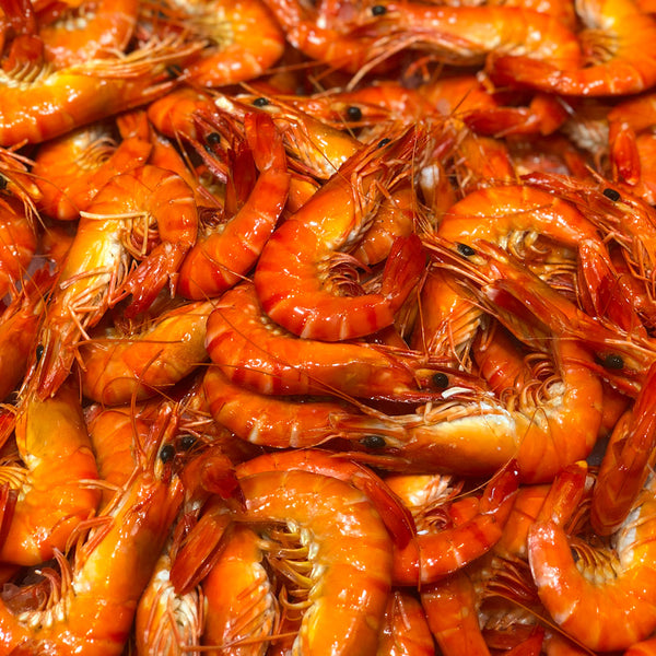 Cooked Tiger Prawns Medium – Seafood and More