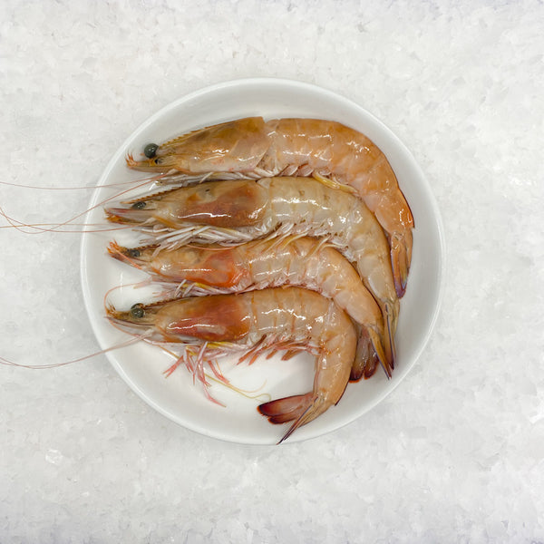 U6 Size Wild XL Green Prawns – Seafood and More